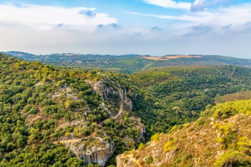 Biblical Carmel Mountains – Unique Sites of Israel Blog