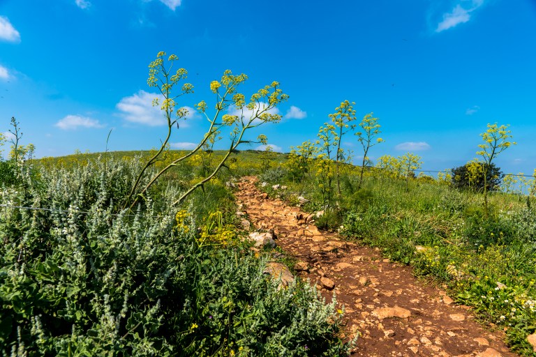 Biblical Mount Gilboa – Unique Sites of Israel Blog
