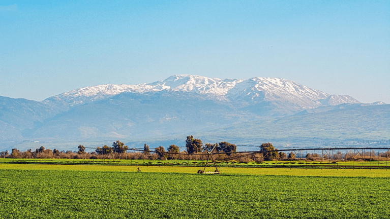 Biblical Waters of Merom (Hula Valley) – Unique Sites of Israel Blog